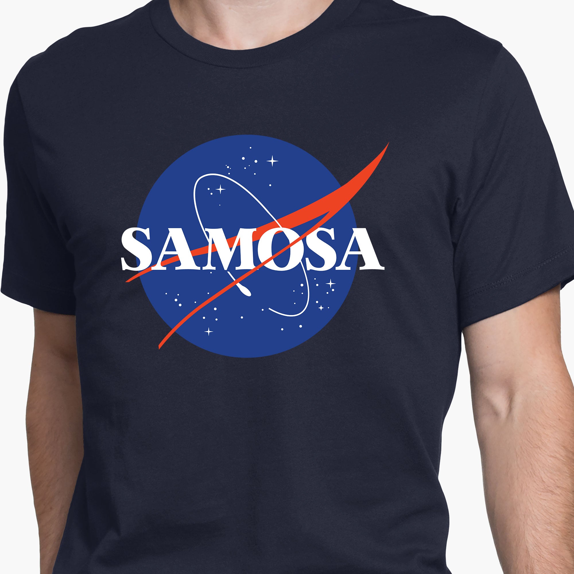 nasa ts